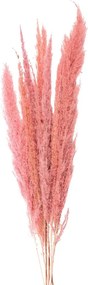 Dekorace růžová sušená květina - 100 cm