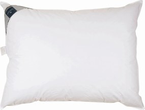 XXXLutz TŘÍKOMOROVÝ POLŠTÁŘ, 40/80 cm Billerbeck - Polštáře pod hlavu - 003279017903