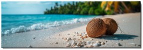 Obraz na plátně - Tam kde kokosy padají z palmy FeelHappy.cz Velikost obrazu: 60 x 20 cm