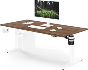 Elektrický stůl s nastavitelnou výškou ergonomický bílý/ořech,1600x800 mm: ARIA