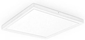 Brilum | LED Přisazený panel XELENT 60 LED/40W/230V 4000K IP40 | B3227