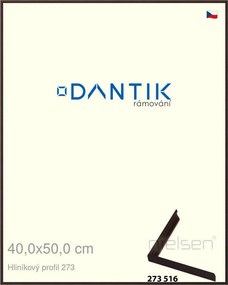 DANTIK rámeček 40x50 | ALU profil 7273 Dýha wenge tmavá (Plexi Čiré)