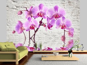 Fototapeta Fialový úžas - orchideje ponořené ve vodě na pozadí bílé zdi