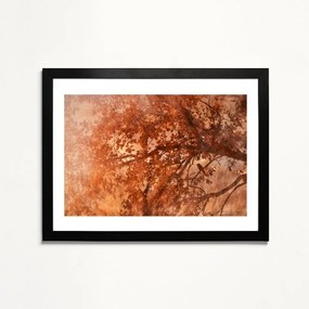 Jiří Hřebíček | Enchanted in Autumn Rám: Černý, Velikost: 20 x 30 cm