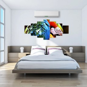 Obraz - Papoušek (210x100 cm)