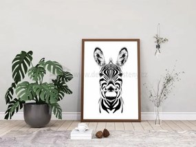 Plakáty - Zebra