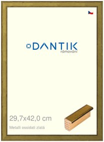 DANTIK rámeček 29,7x42 | Metalli oidati zlatá (Plexi Čiré)