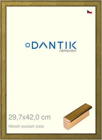 DANTIK rámeček 29,7x42 | Metalli oidati zlatá (Plexi Čiré)