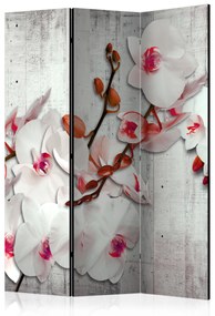Paraván - Concrete Orchid [Room Dividers]