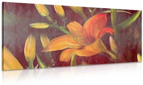 Obraz rozkvět oranžové Lilie - 100x50 cm