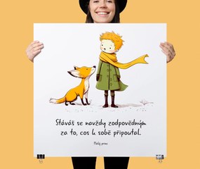 Plakát - Stáváš se navždy zodpovědným, Malý princ (lines) FeelHappy.cz Velikost plakátu: 60 x 60 cm