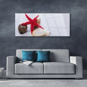 Plexisklo-obraz Hvězdice Mušle Umění 125x50 cm