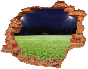 Wallmuralia Fototapeta díra na zeď 3D Fotbalové hřiště 90x70 cm