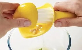 Joseph Joseph Catcher lis na citrusy