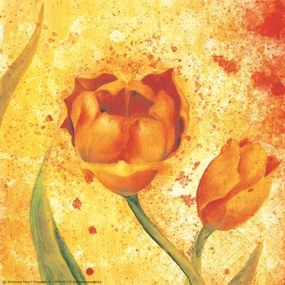 Barevný tulipán - 30 x 30 cm