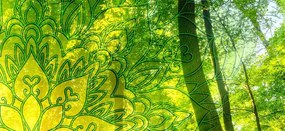 Malvis ® Obraz Mandala lesní strážce Velikost: 120x60 cm