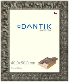 DANTIK rámeček 40x50 | Dora Silver (Sklo Čiré)