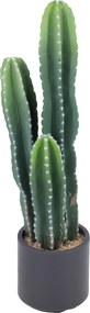 XXXLutz UMĚLÁ ROSTLINA kaktus 75 cm Ambia Home - Umělé rostliny - 0039530145