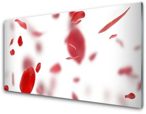 Obraz na skle Růže Plátky 120x60 cm