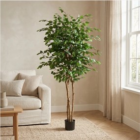 Umělý Ficus Zelený 180 cm