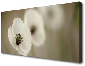 Obraz na plátně Květ Rostlina Příroda 125x50 cm