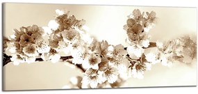 Obraz na plátně Hnědé květy 1452AZ