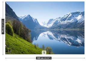 Fototapeta Fjord v Norsku 104x70