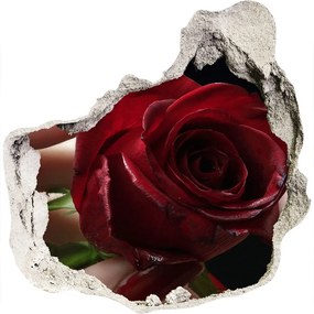 Wallmuralia Fotoobraz díra na stěnu Žena s růží 75x75 cm