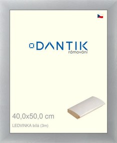 DANTIK rámeček 40x50 | LEDVINKA bílá (Sklo Čiré)