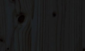 vidaXL Zahradní truhlík medově hnědý 62x50x57 cm masivní borové dřevo [825209] Barva: Černá borovice