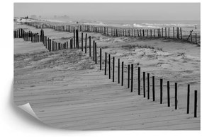 Fototapeta Pláž Mořské Duny Omyvatelný vlies 300x210