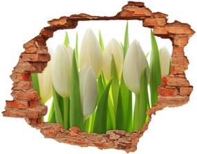 Wallmuralia Samolepící nálepka fototapeta Tulipány 90x70 cm