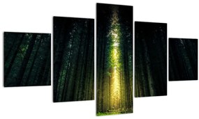 Obraz temného lesa (125x70 cm)