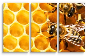 Sablio Obraz - 3-dílný Včely - 120x80 cm