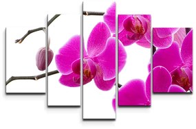Sablio Obraz - 5-dílný Fialové orchideje - 125x90 cm