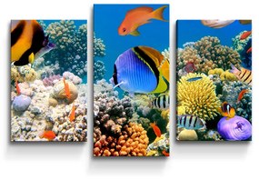 Sablio Obraz - 3-dílný Korálový útes - 75x50 cm