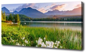 Wallmuralia Foto obraz canvas Jezero v horách 100x50