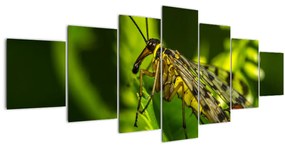Obraz hmyzu (210x100 cm)