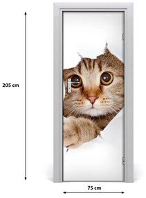 Samolepící fototapeta na dveře Kočka 75x205 cm