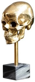 Dekorační předmět Lebka 35 cm zlatý
