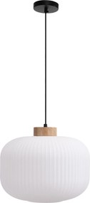 Toolight Toolight, stropní svítidlo ze skla 1xE27, bílá, OSW-04412