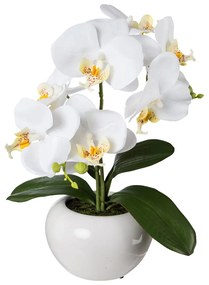 Gasper Umělá orchidej v keramickém květináči, 35 cm, bílá