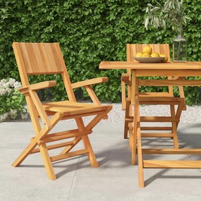 Skládací zahradní židle 2 ks 55x61x90 cm masivní teakové dřevo - Default Title