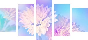 5-dílný obraz květ chryzantémy - 200x100 cm