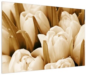 Obraz tulipánů  (100x70 cm)