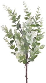 eukalyptus 45 cm - zelená/bílá