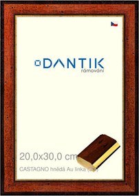 DANTIK rámeček 20x30 | CASTAGNO hnědá Au linka (Sklo Čiré)