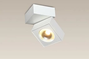 Bodové LED svítidlo MAXlight ARTU C0106