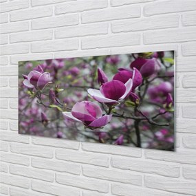 Obraz na skle fialové magnolie 120x60 cm
