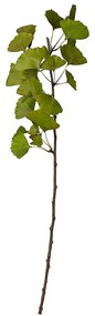 Ginko zelená umělá větvička, výška 77 cm